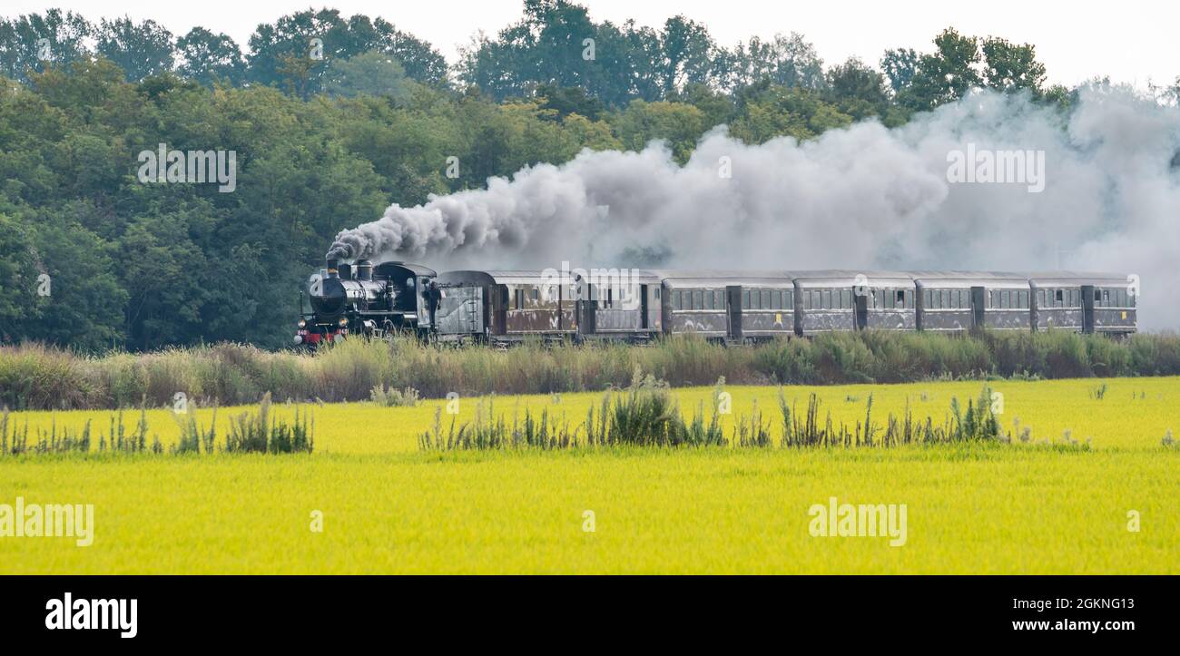 Vintage steam train runs on the tracks in the countryside Stock Photo ...