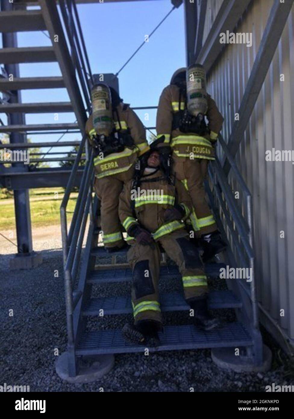 Fireman Saving A Picture Of The Day