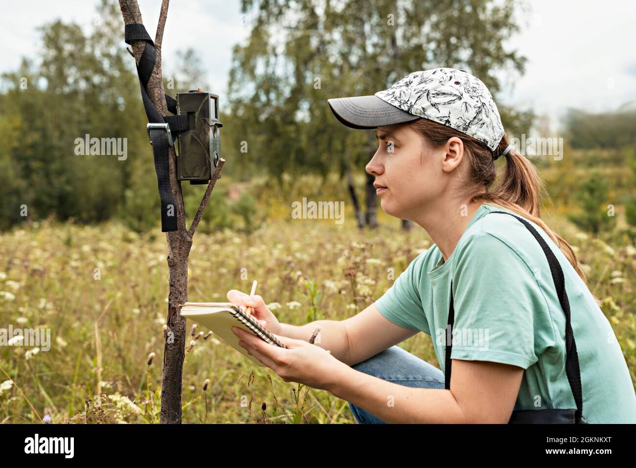 Young woman scientist zoologist writing down data from trap camera to ...