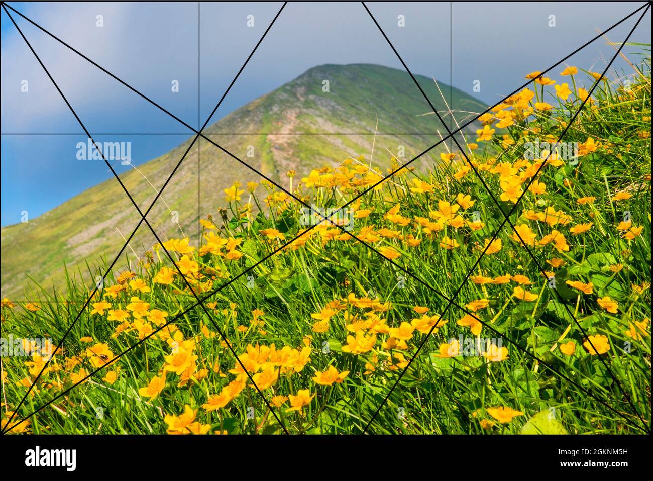 Golden ratio in nature. Colorful summer landscape in the Carpathian ...
