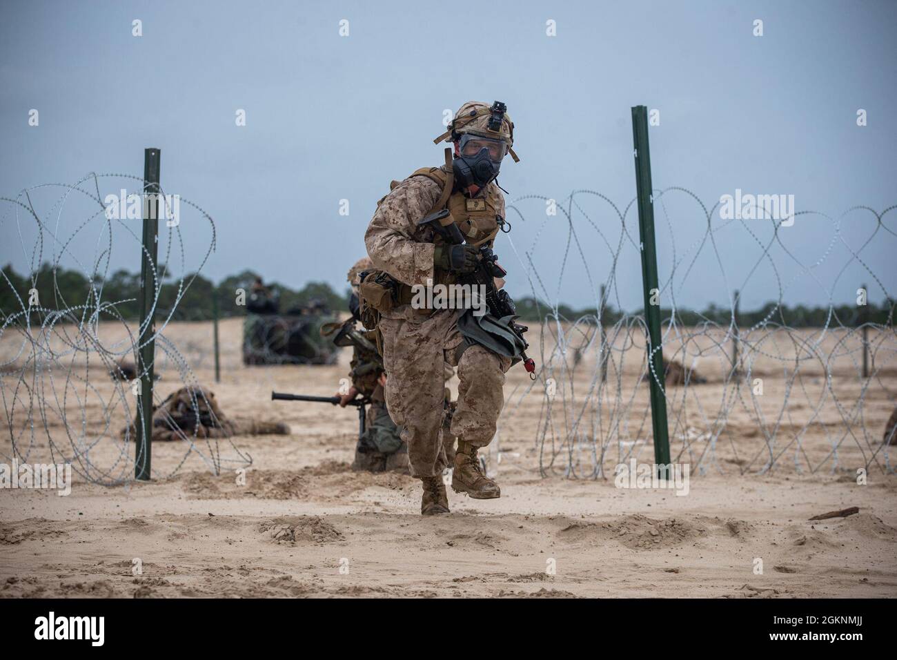 U.S. Marine Corps Cpl. Chantz Nittler, a combat engineer with 2d Combat ...