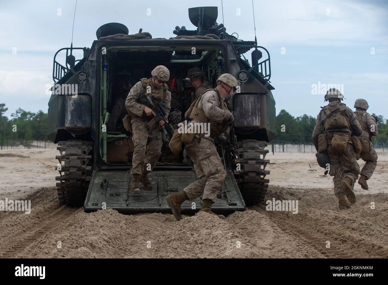 U.S. Marines with 2d Combat Engineer Battalion, 2d Marine Division ...