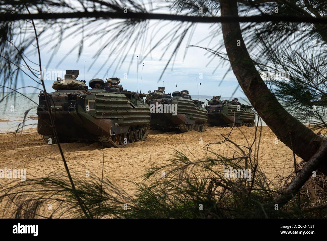 U.S. Marines with Company B, 3d Assault Amphibian Battalion currently ...