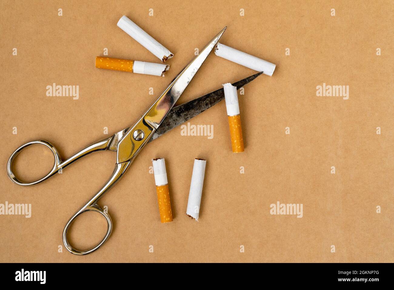 Anti-smoking concept, scissors cutting many cigarettes Stock Photo - Alamy