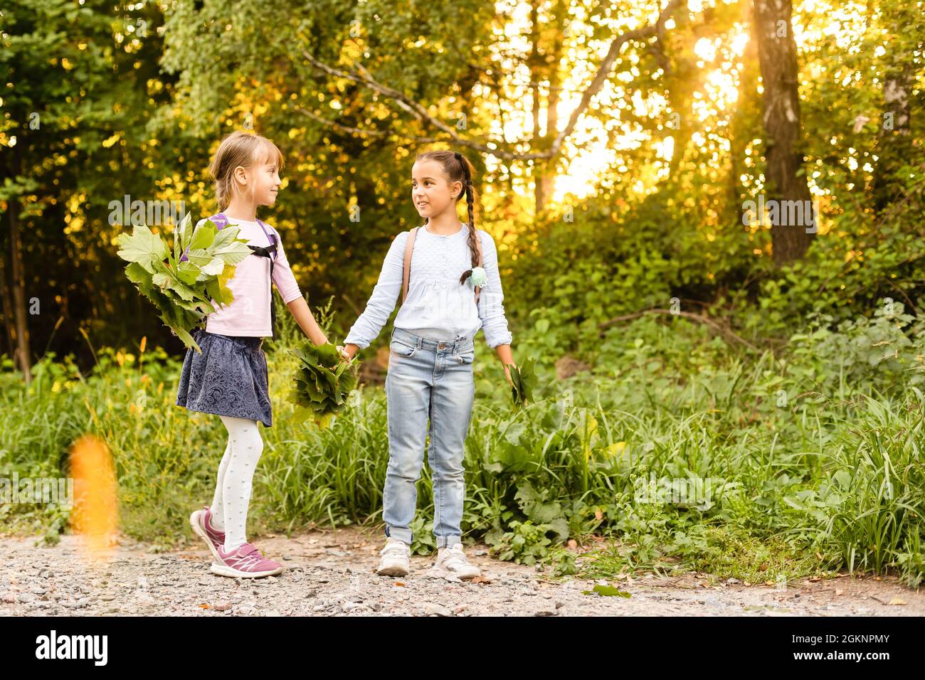 Two girls throwing leaves hi-res stock photography and images - Alamy