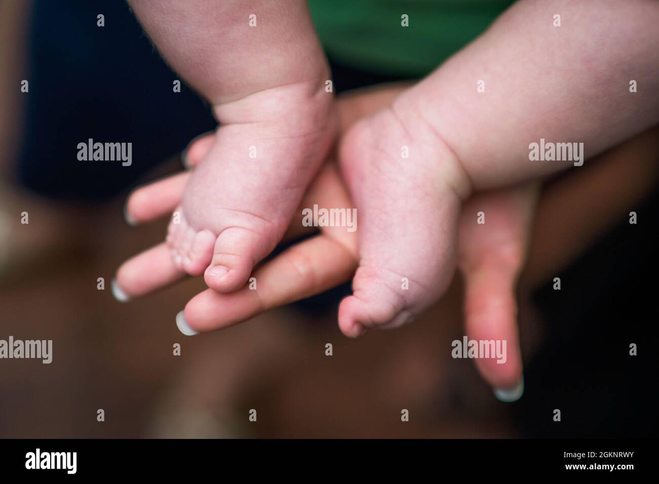 Image of little baby legs in mother hands. Focus on baby fingers Stock ...