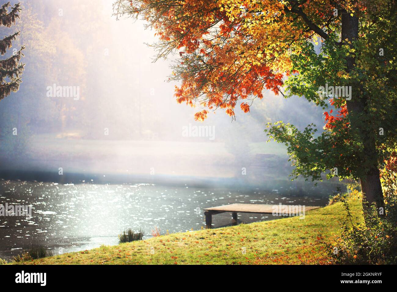 Pond sommer hi-res stock photography and images - Alamy