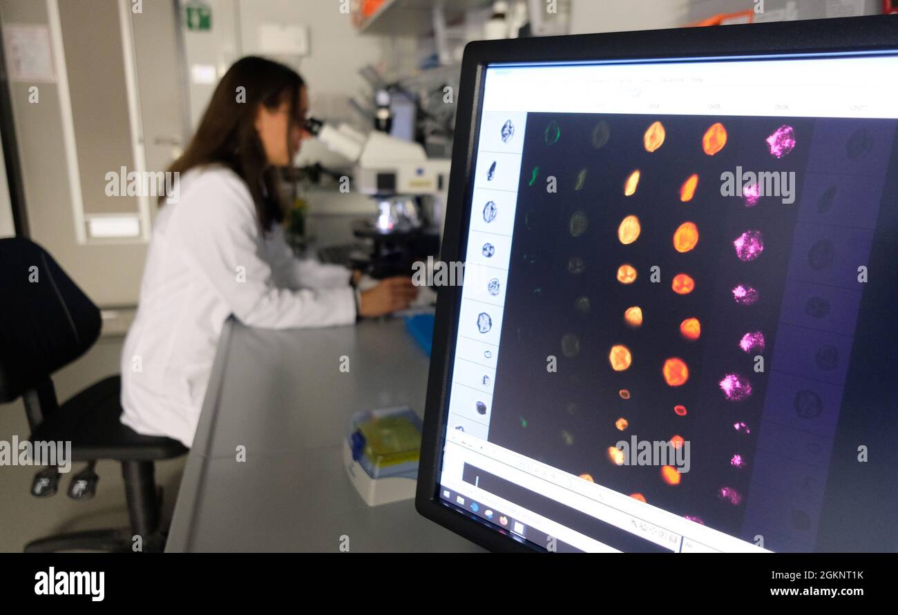 Pollen monitor hi-res stock photography and images - Alamy
