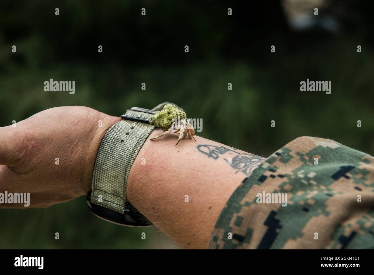 U.S. Marine Corps Staff Sgt. David Piper, Littoral Engineer ...