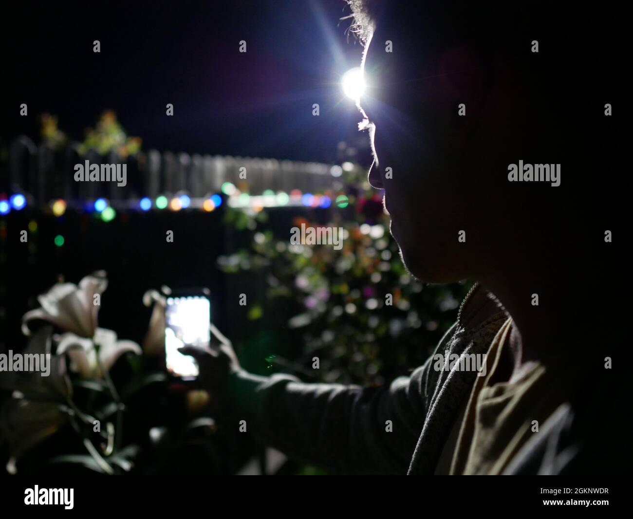 Night photo with smartphone Stock Photo - Alamy