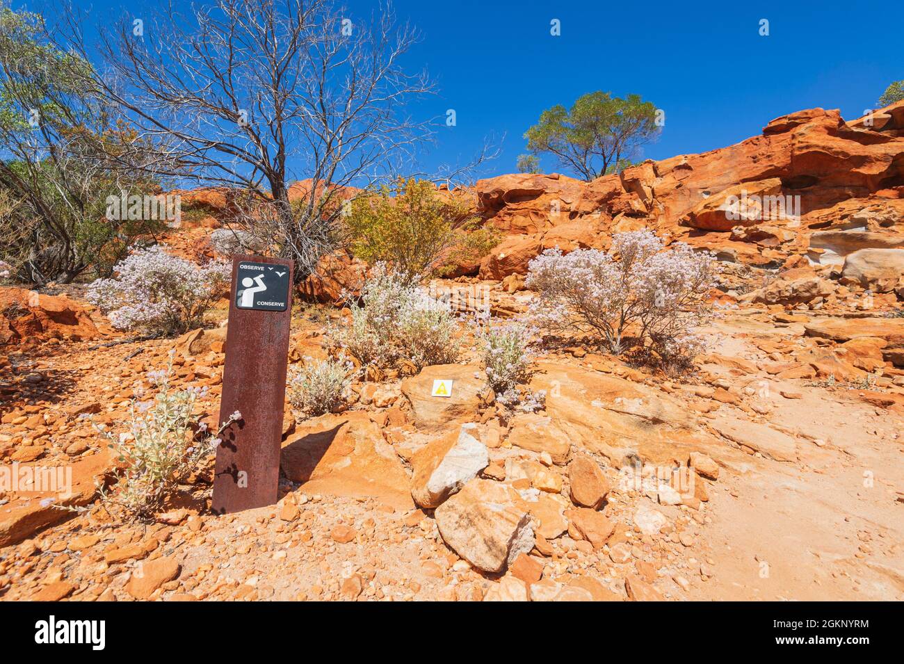 Trail leading to Mundee Aboriginal petroglyphs on rock wall, Mount ...
