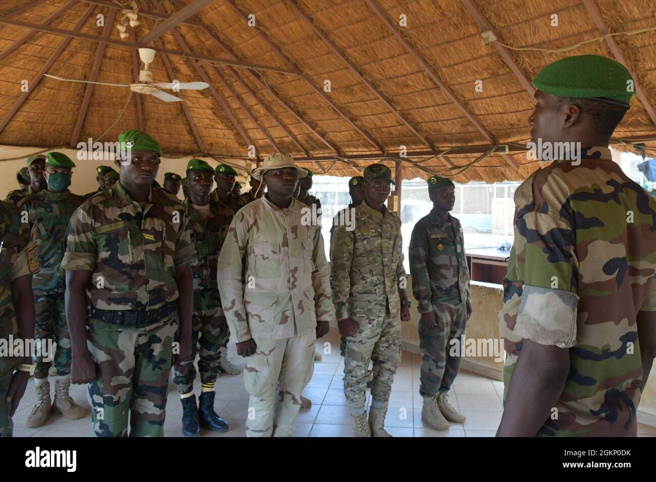 Members of the Niger Armed Forces stand in formation during a ...