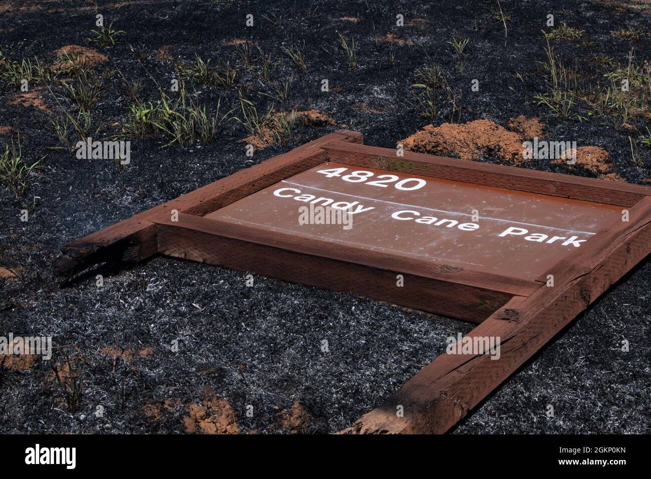 A damaged sign from Candy Cane Park is a result of the Intanko Fire ...