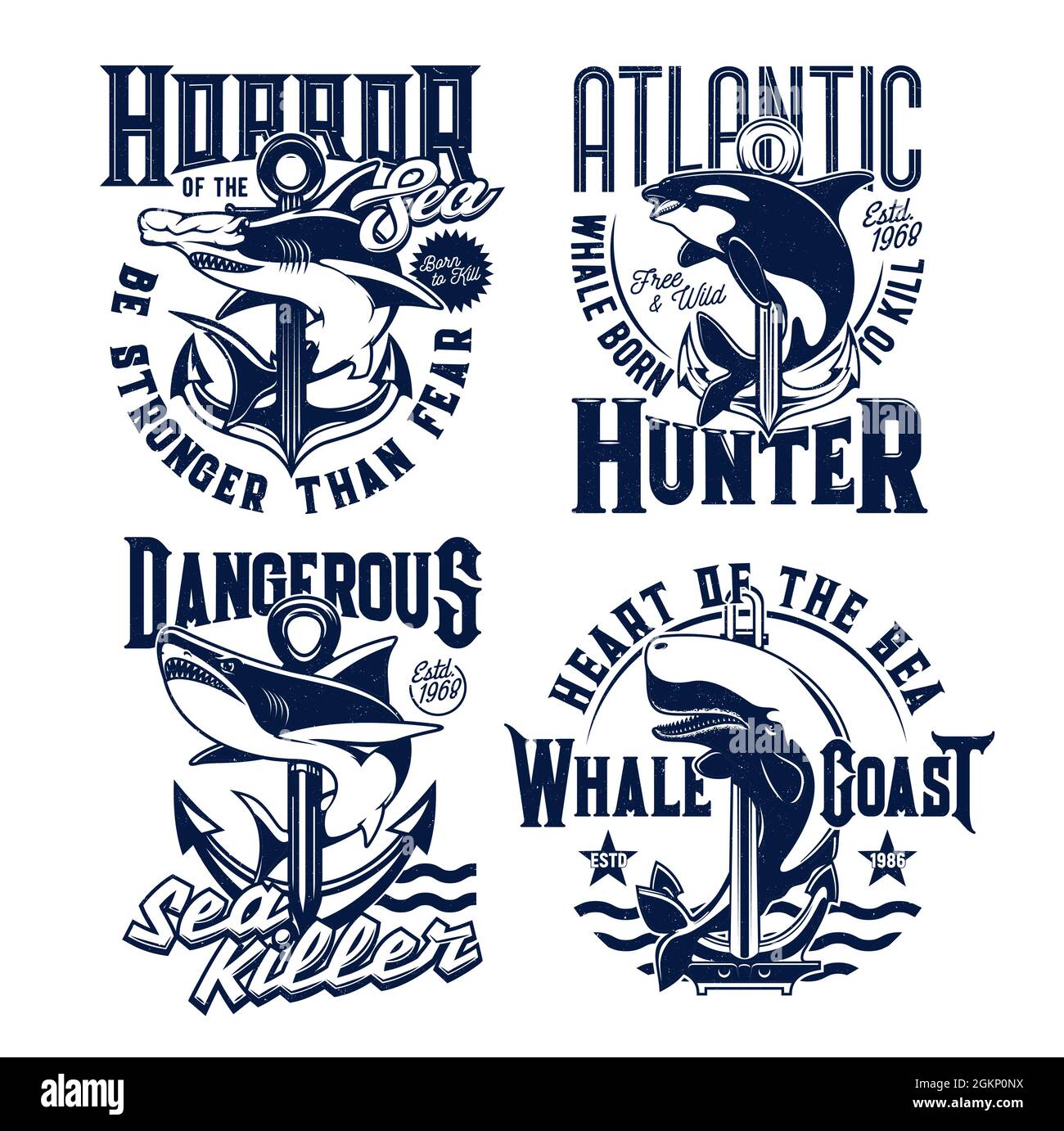 Hammerhead Designs Logo