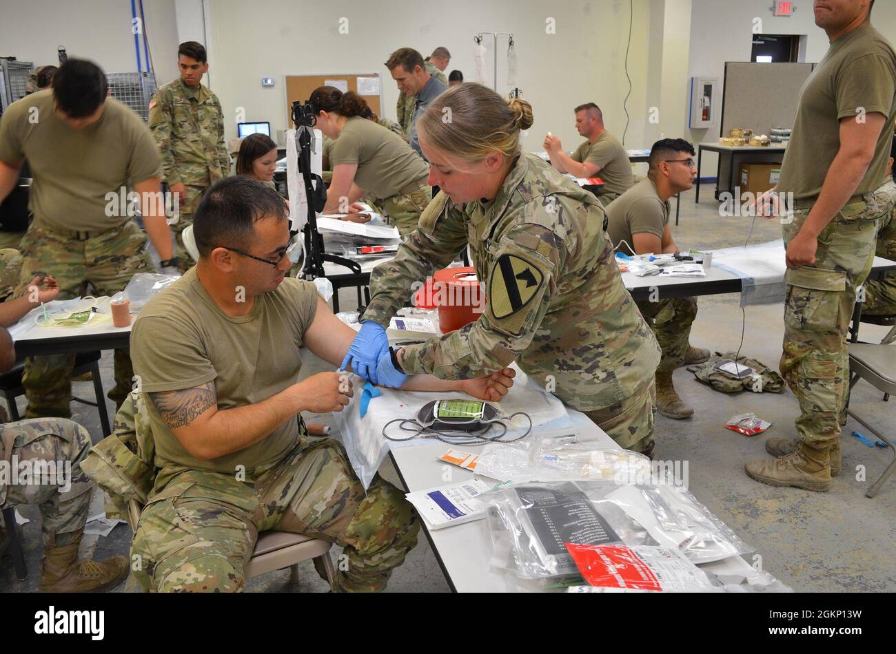 Medics from different branches of the military participate in blood ...