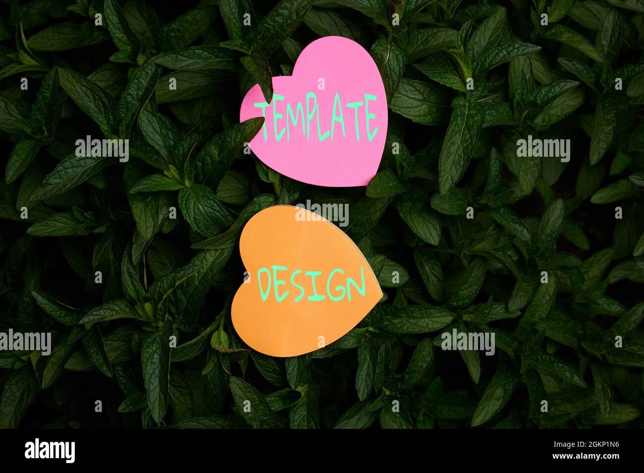 Text showing inspiration Template Design. Word Written on an overall layout or blueprint with a ...