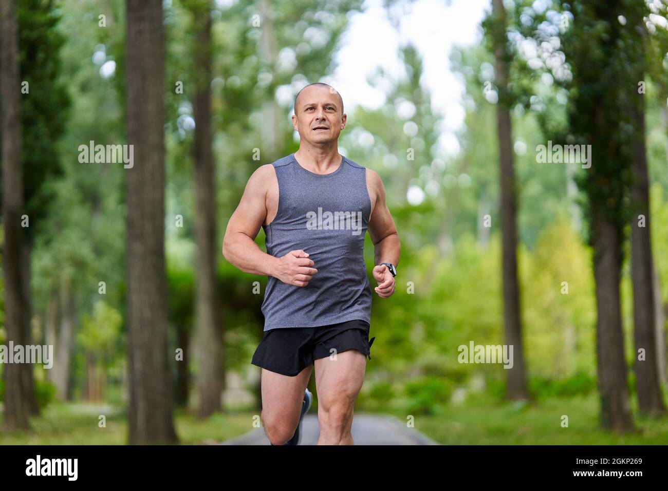 Athletic man marathon runner training in the park alleys Stock Photo ...