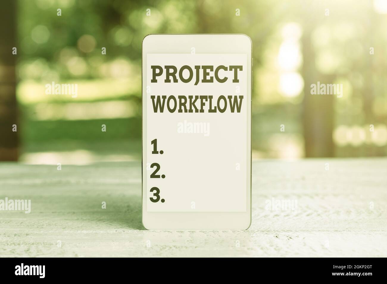 Text caption presenting Project Workflow. Business showcase series of ...