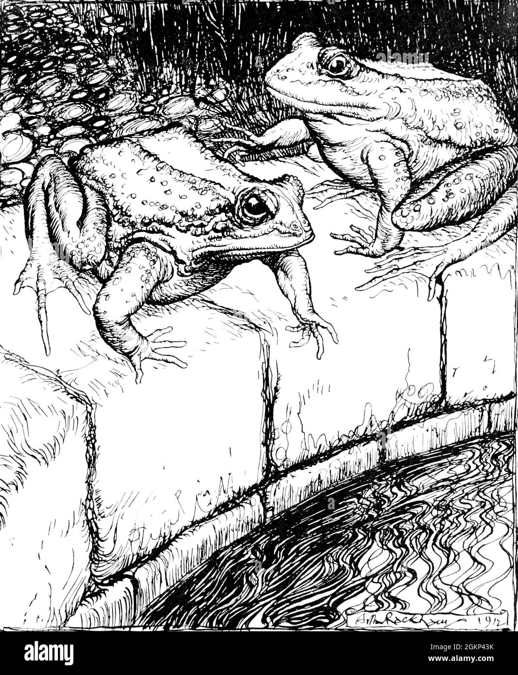 Aesops fables frog hi-res stock photography and images - Alamy