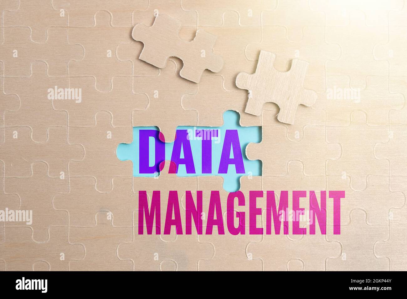 Conceptual caption Data Management. Business approach disciplines related to managing data as a ...