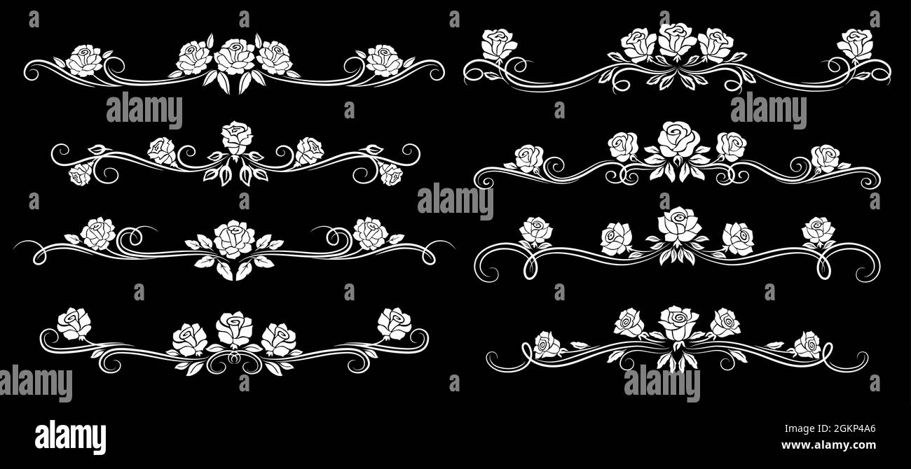 White rose flower vintage borders, dividers and floral swirls, vector ...