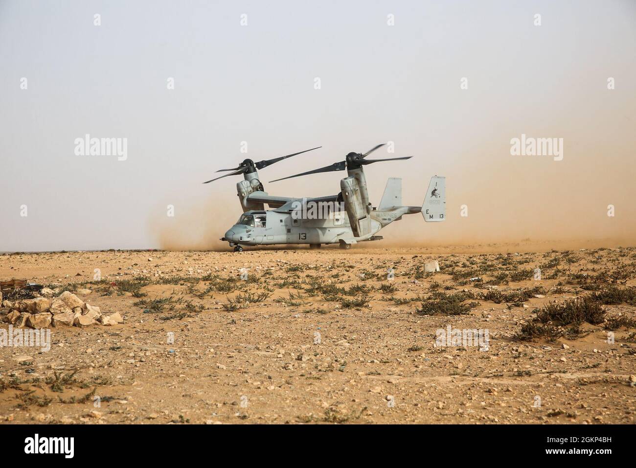 Mv lion hi-res stock photography and images - Alamy