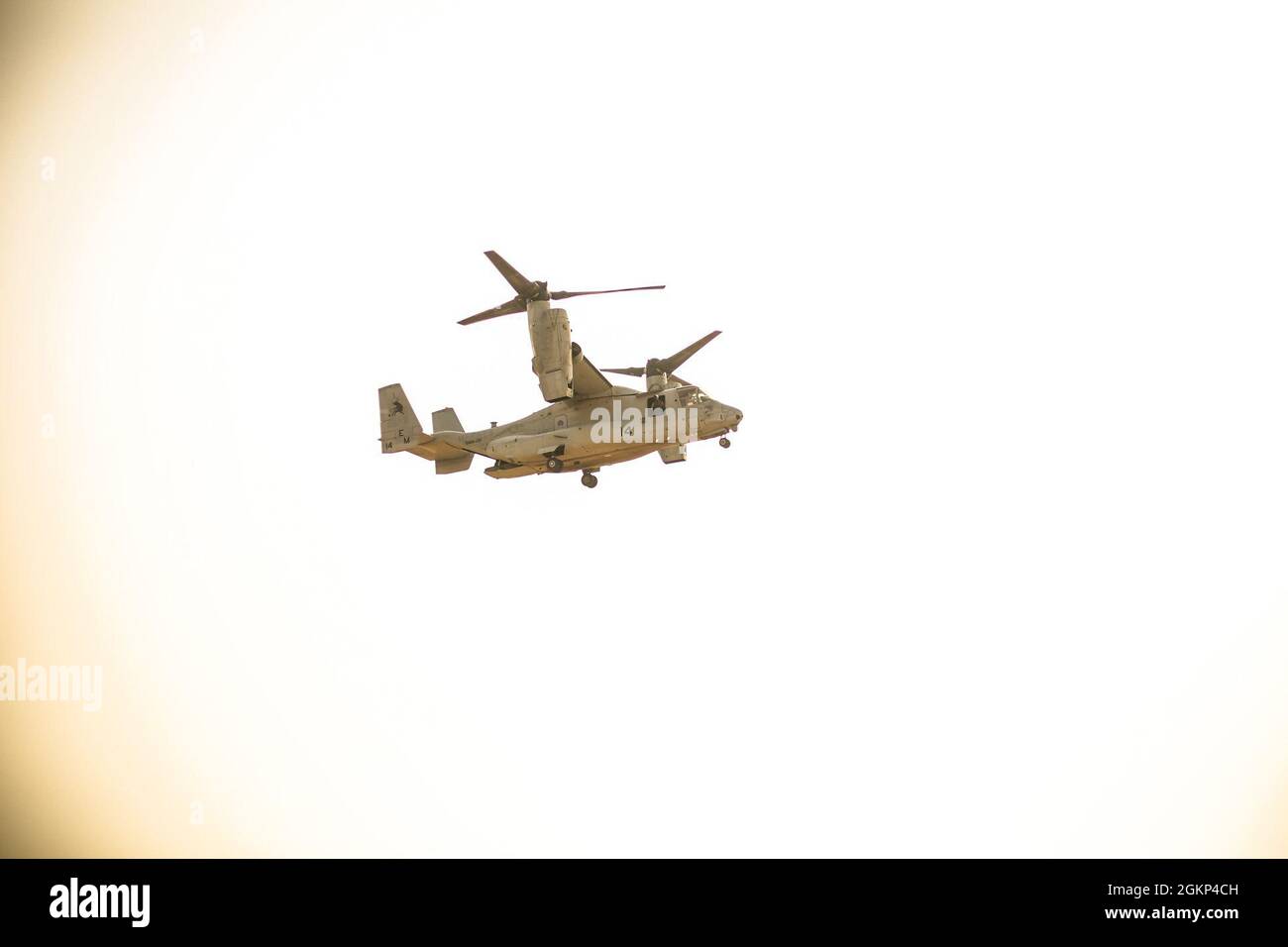 Mv lion hi-res stock photography and images - Alamy