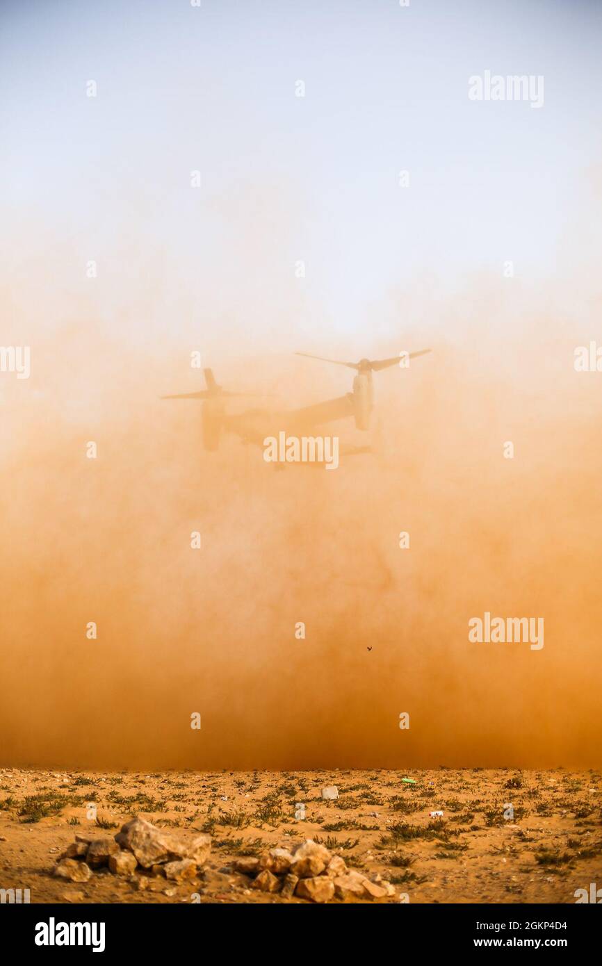 Mv lion hi-res stock photography and images - Alamy