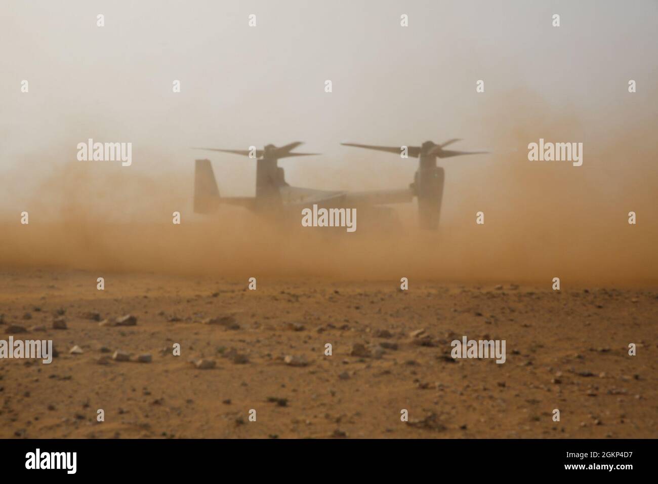 Mv lion hi-res stock photography and images - Alamy