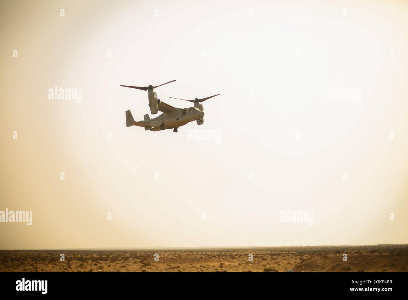 Mv lion hi-res stock photography and images - Alamy