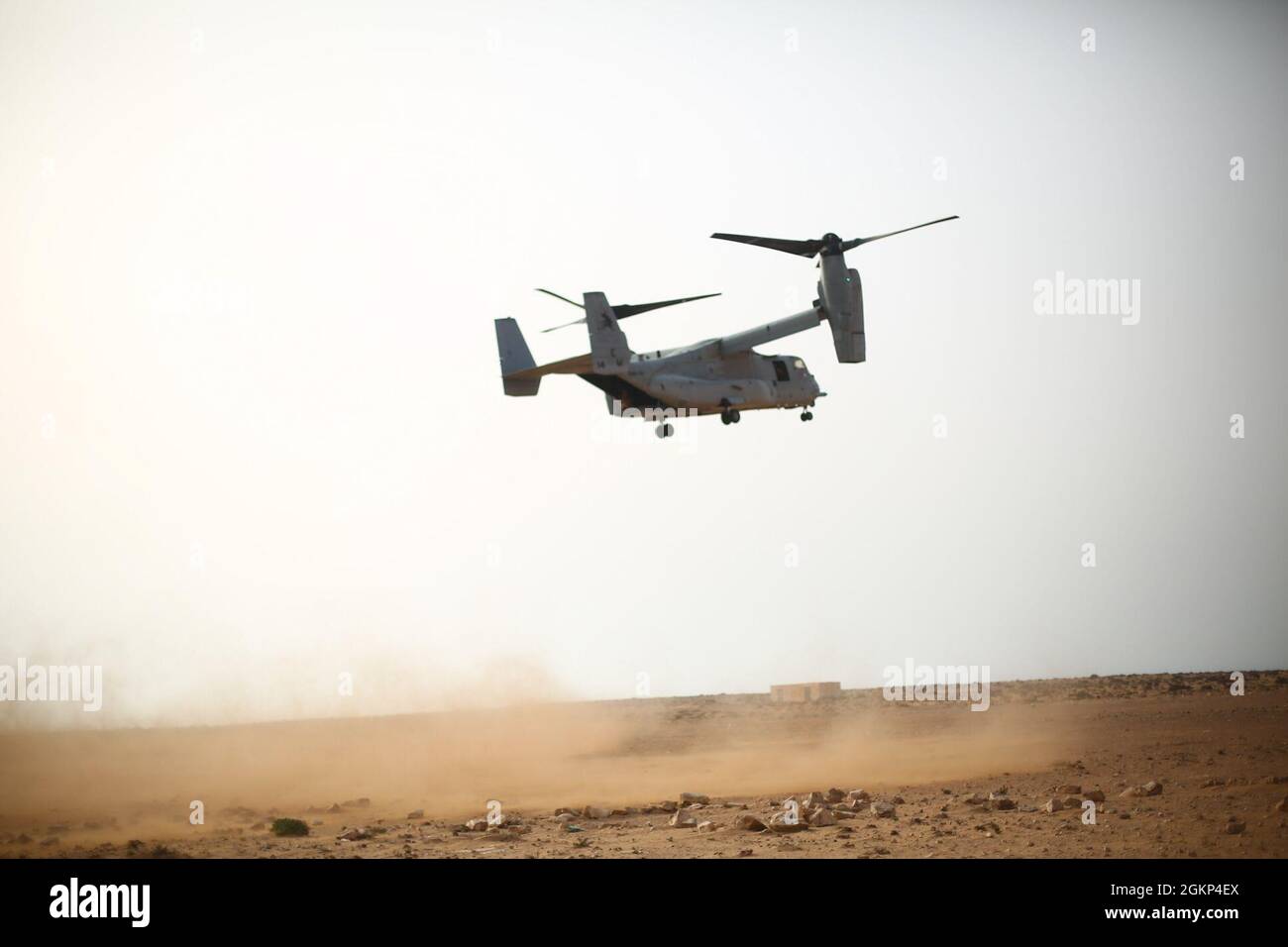 Mv lion hi-res stock photography and images - Alamy