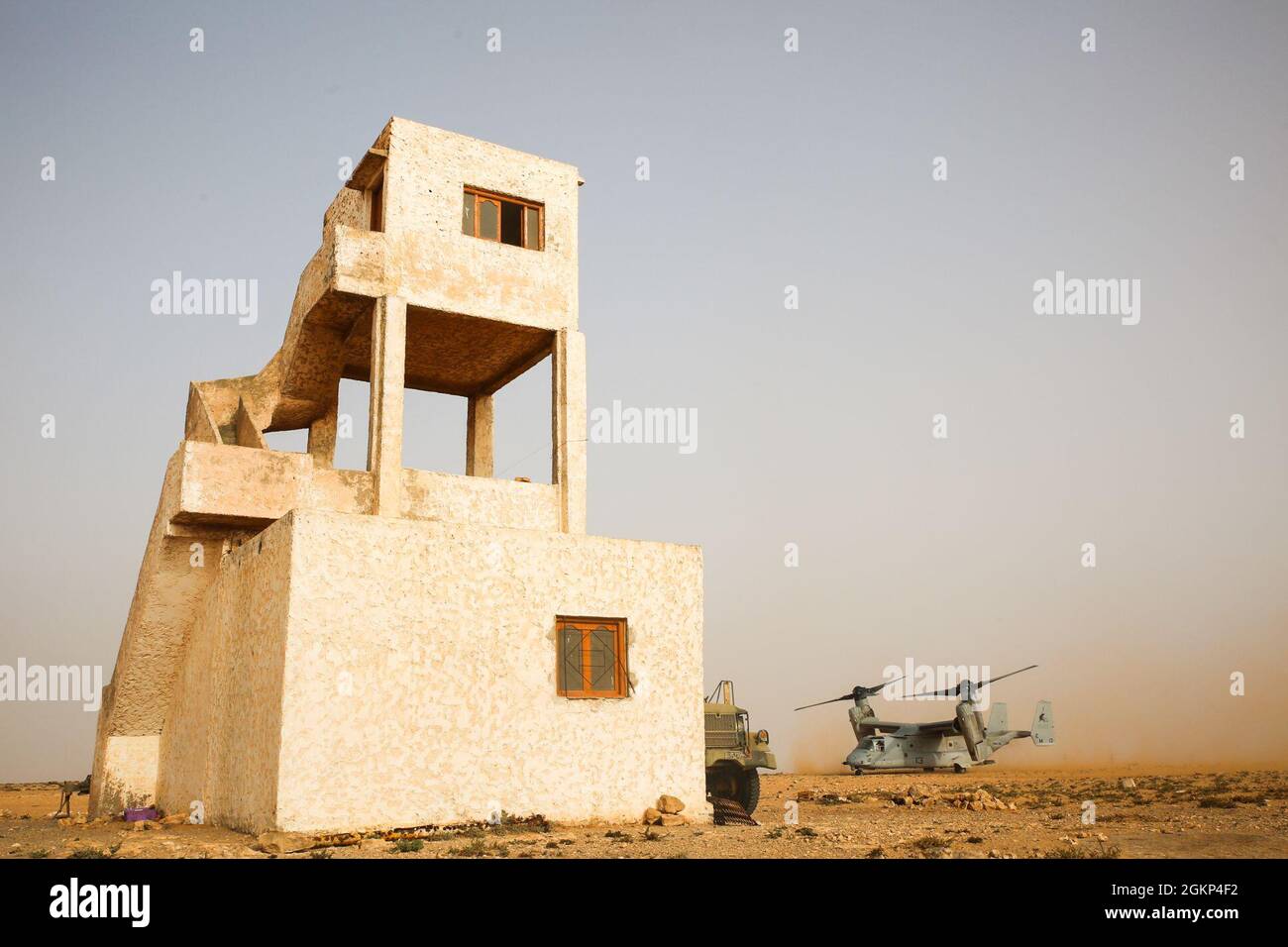 Mv lion hi-res stock photography and images - Alamy