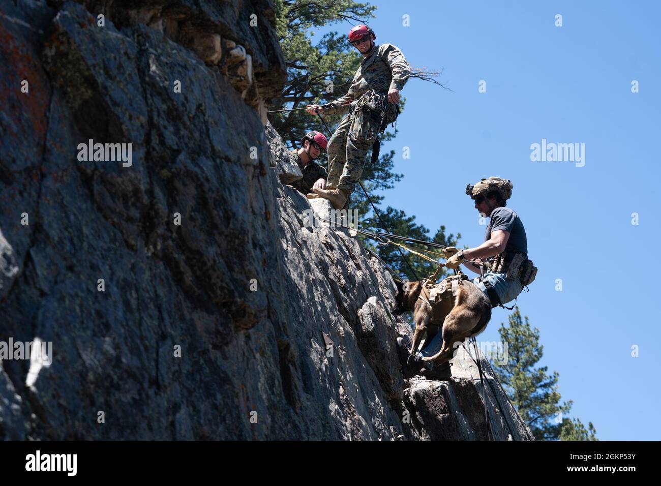 Austin Melnick and Dita, cast members from CBS’ Seal Team, repel as U.S ...