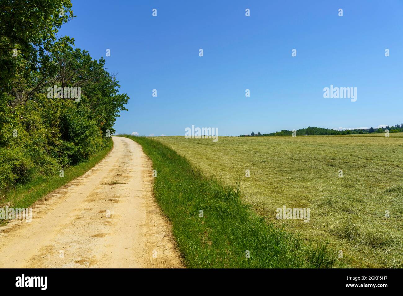 Rural landscape at springtime in Monferrato near Rivalta Bormida ...