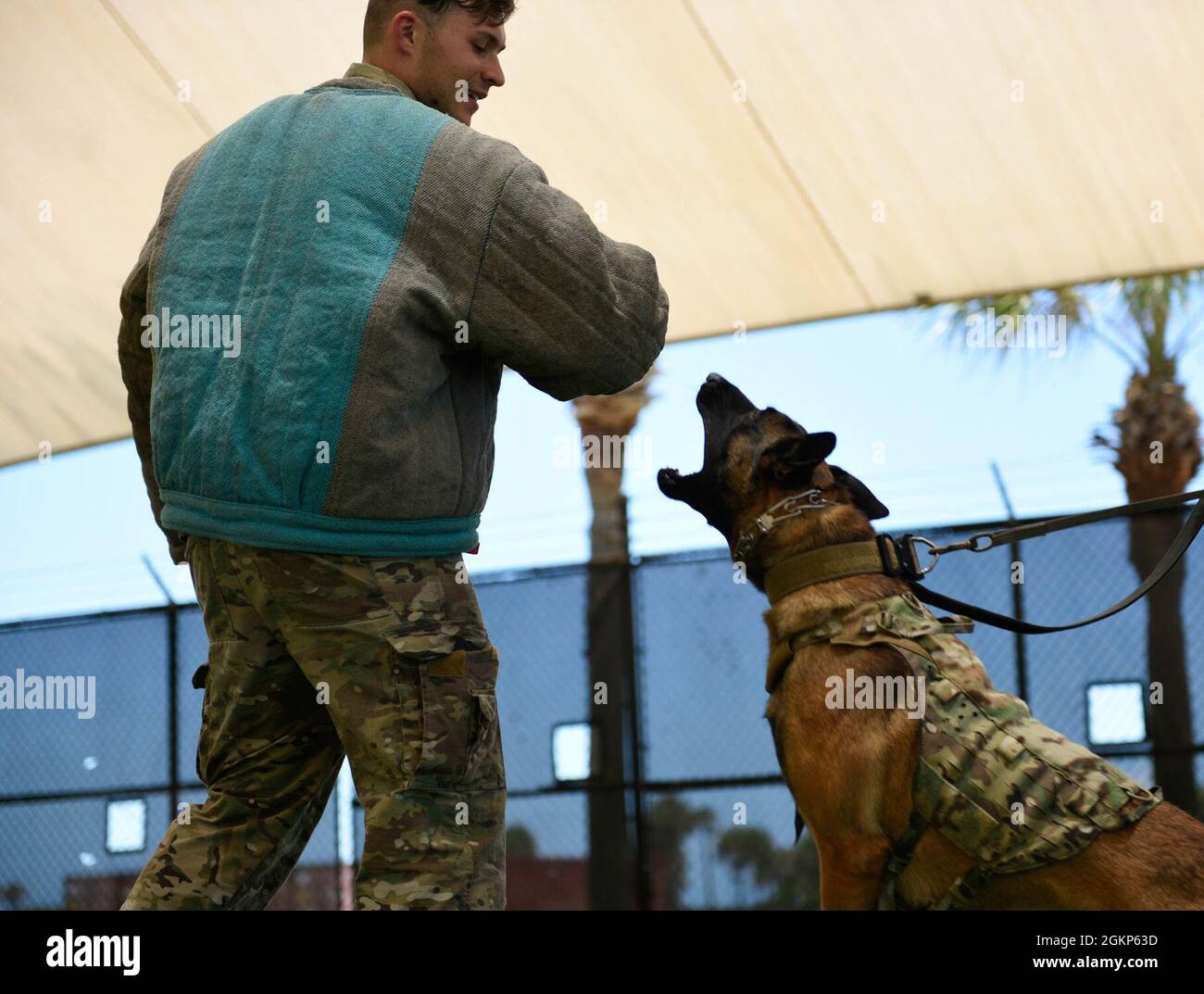 Airman 1st Class Christopher Cimino, 45th Security Forces Squadron ...