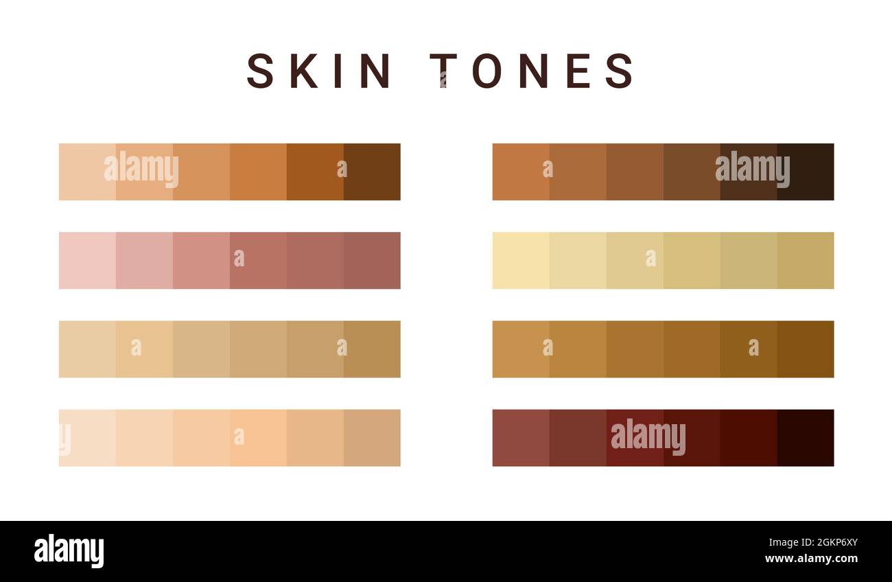 Skin Tone Color Scale Chart Brown Palette Vector Human Skin