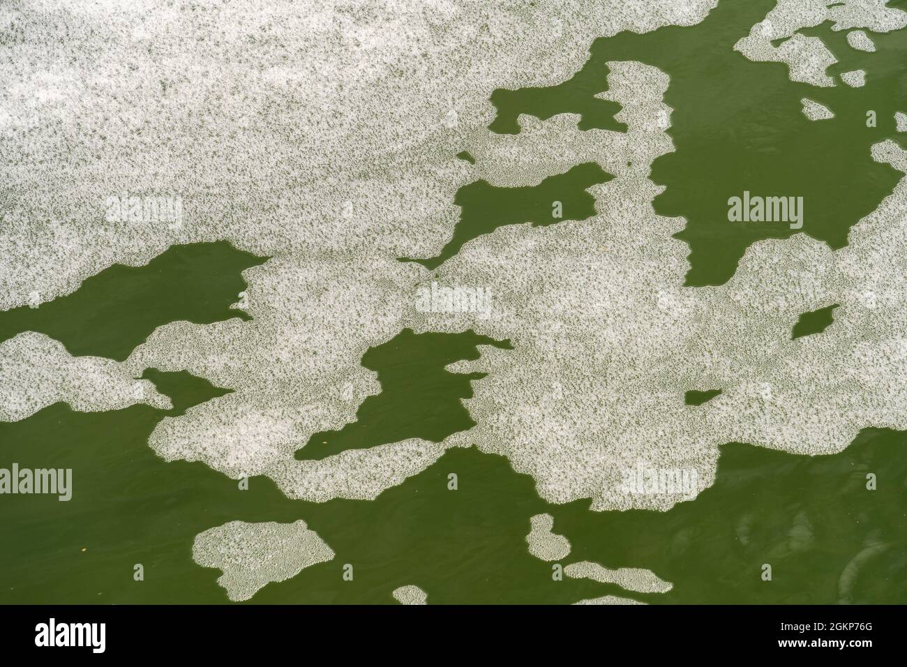 Foamy industrial waste water stream hi-res stock photography and images ...