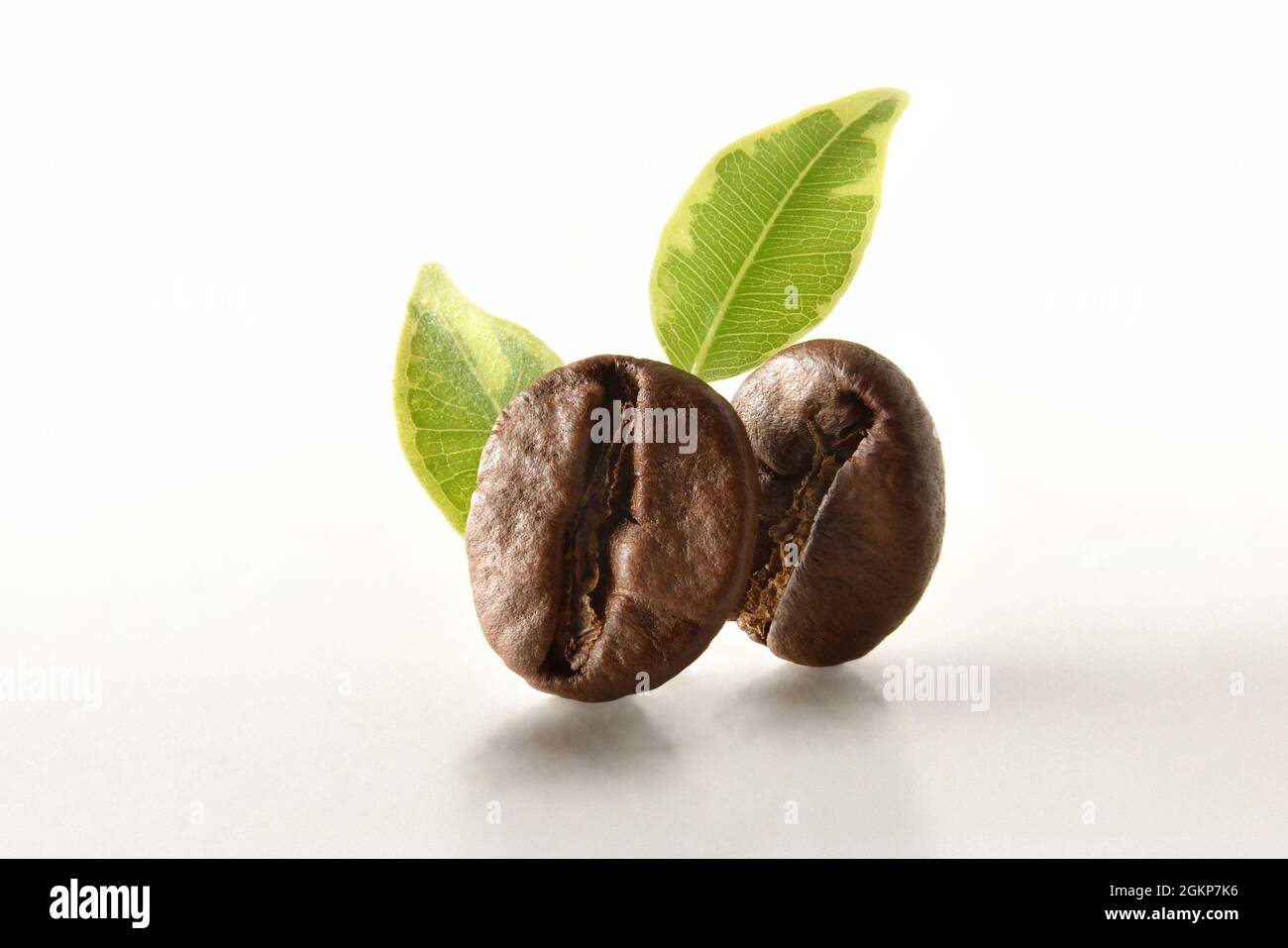 Macro view of two coffee beans and two leaves reflected on white table ...