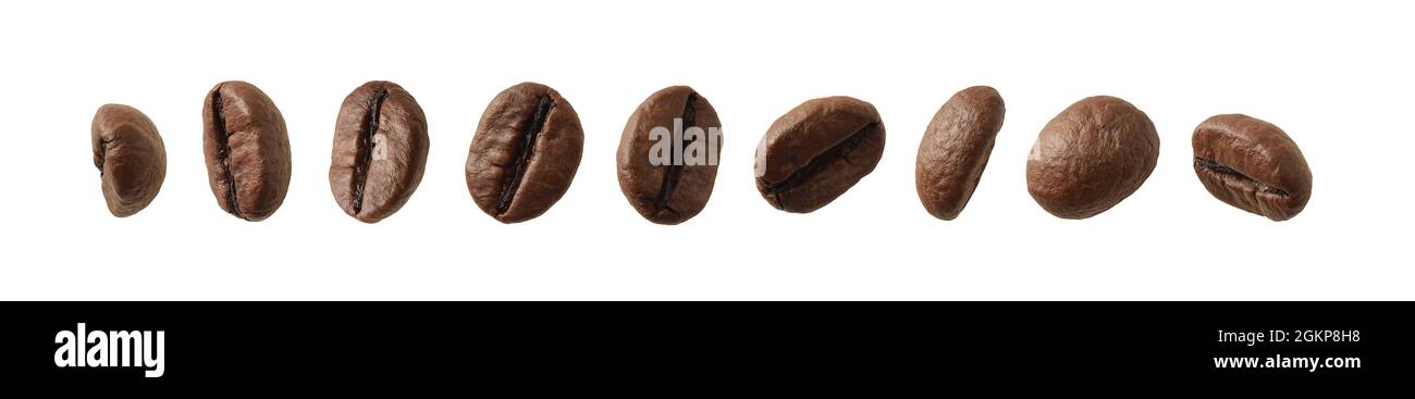 Macro collection of row of coffee beans in various views. Front view ...