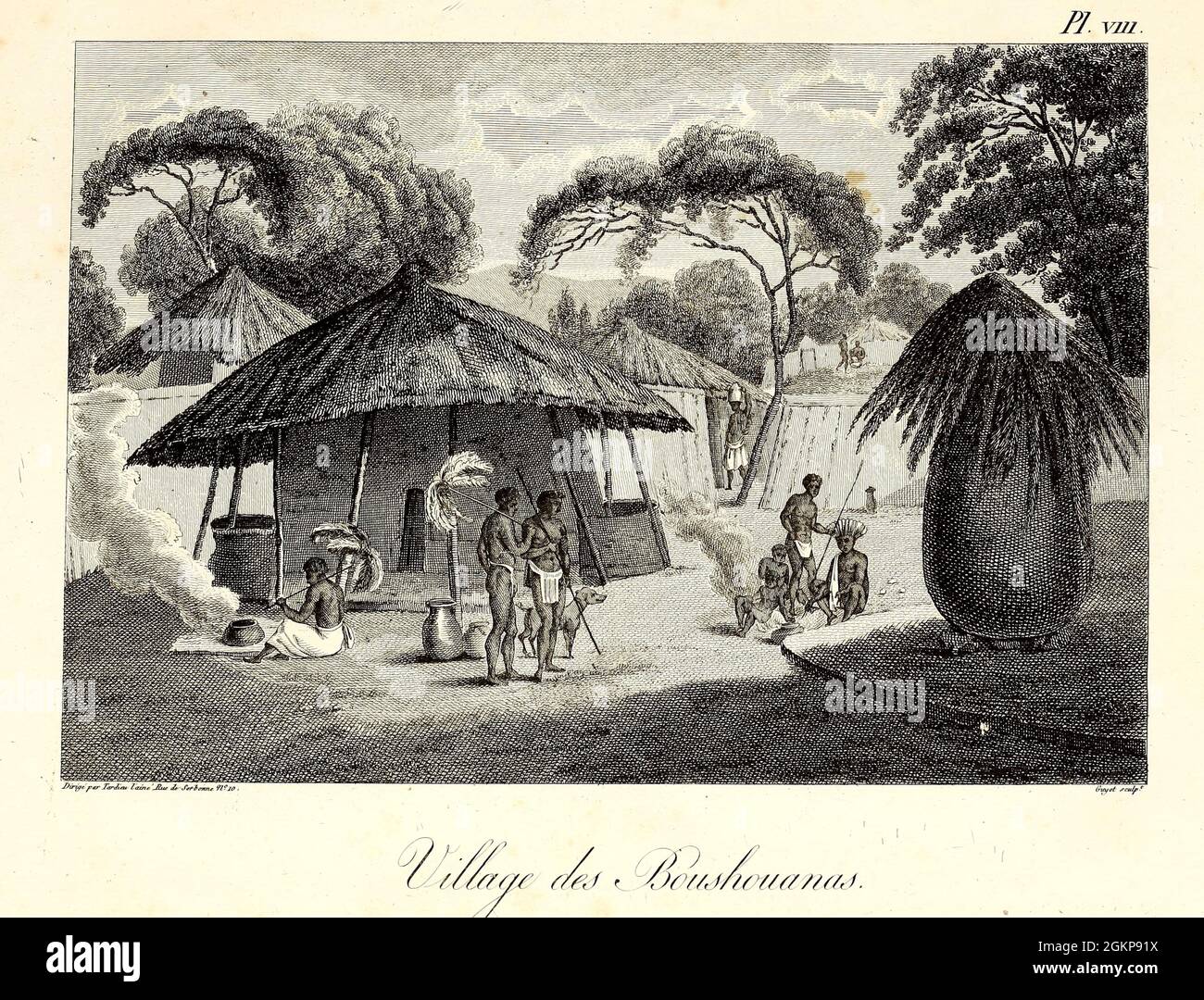 Cochinchine hi-res stock photography and images - Alamy