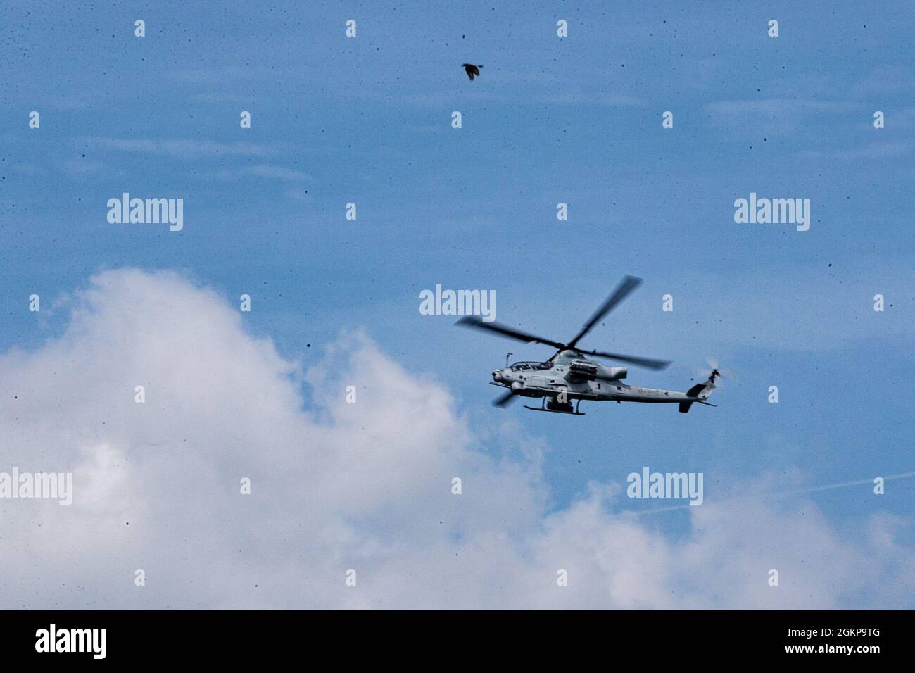 A U.S. Marine Corps AH-1Z Cobra, with Marine Light Attack Helicopter ...
