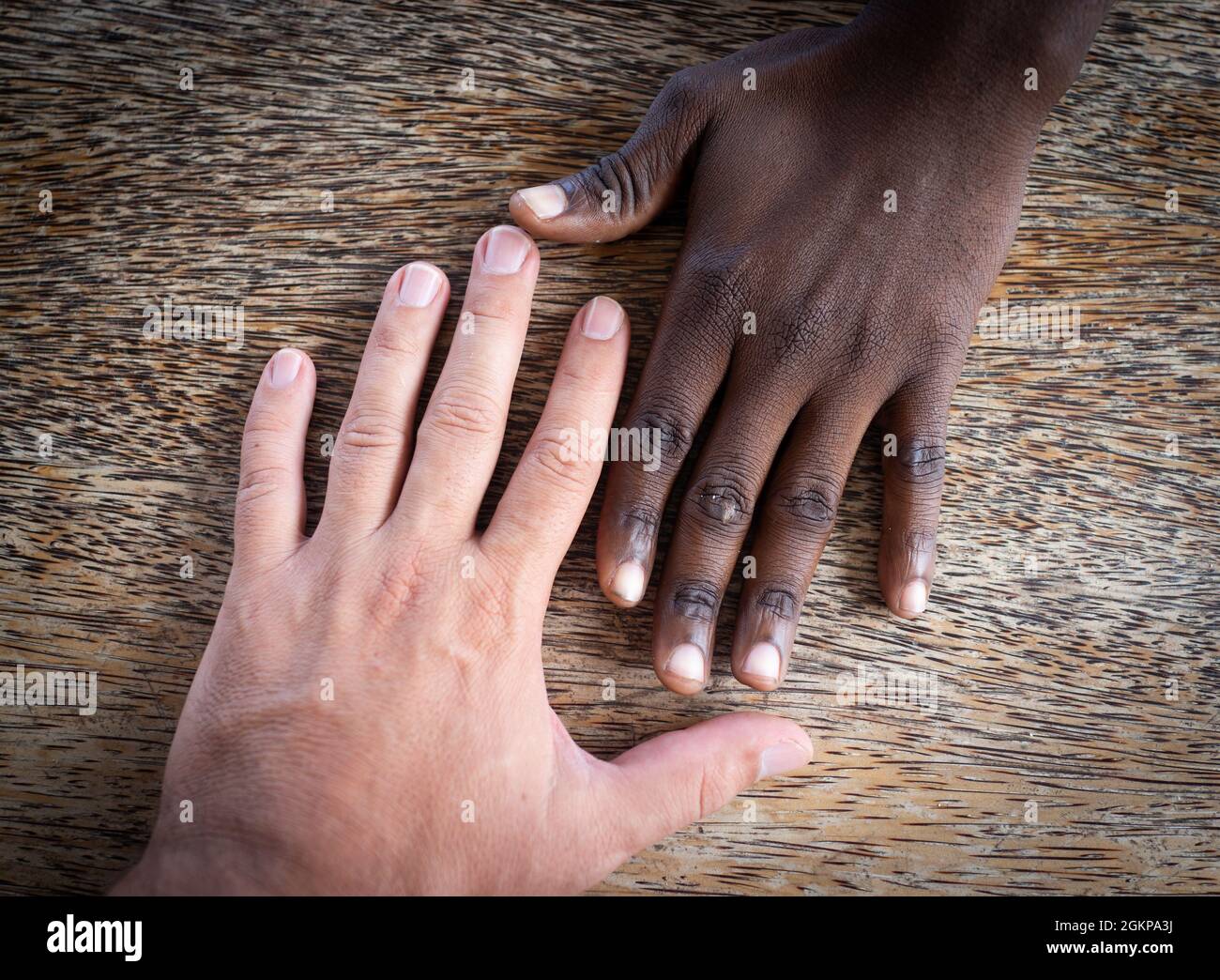 Hands together black white multiracial hi-res stock photography and ...