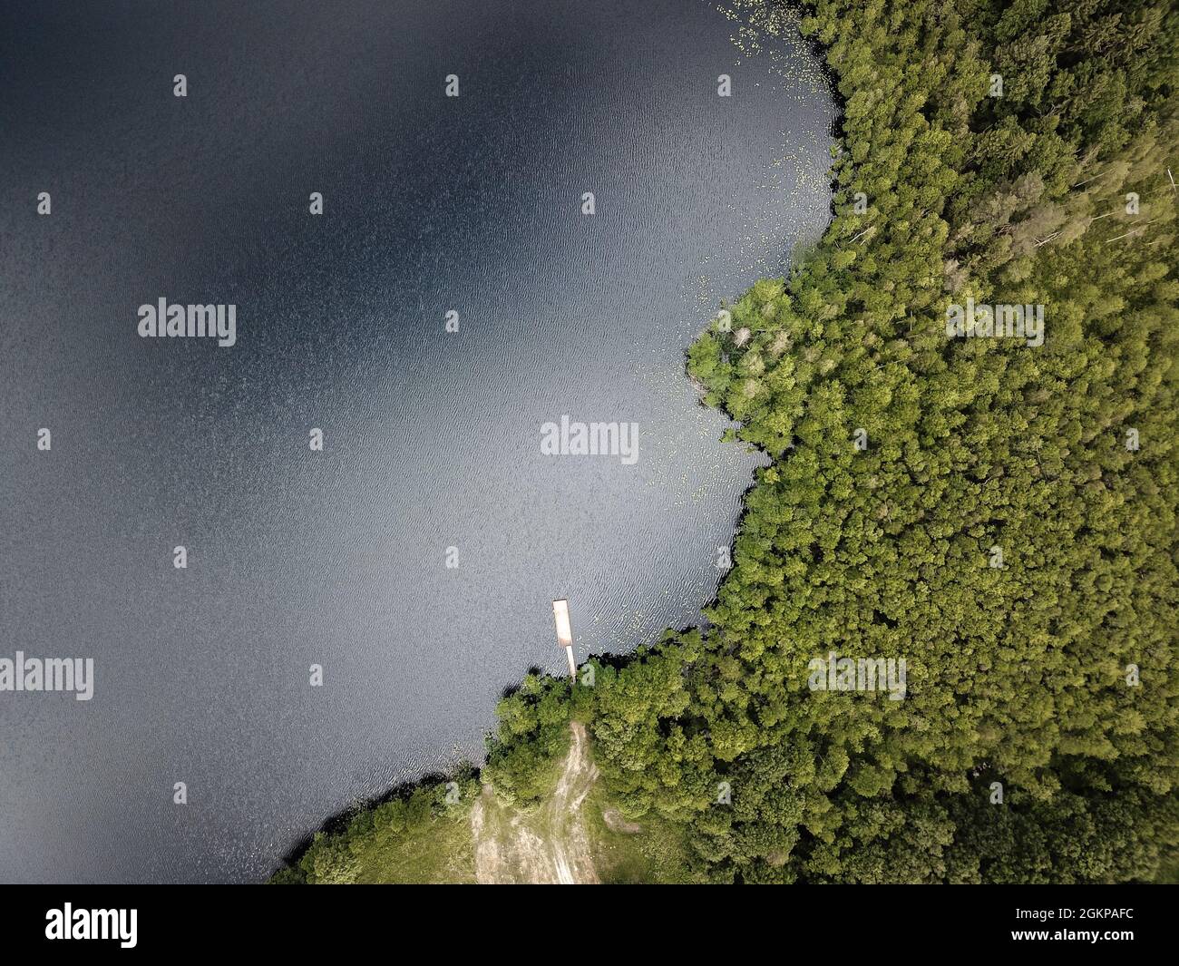 Drone photo. Blue lake and green forest. Forest and lake border, wooden ...