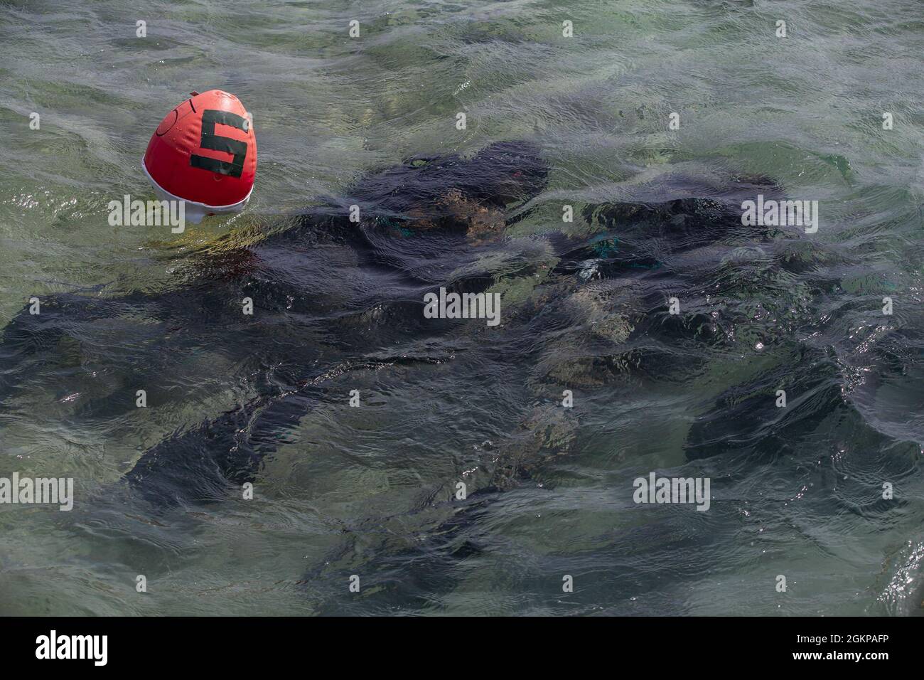 U.S. Marines with 2d Reconnaissance Battalion (2d Recon), 2d Marine ...