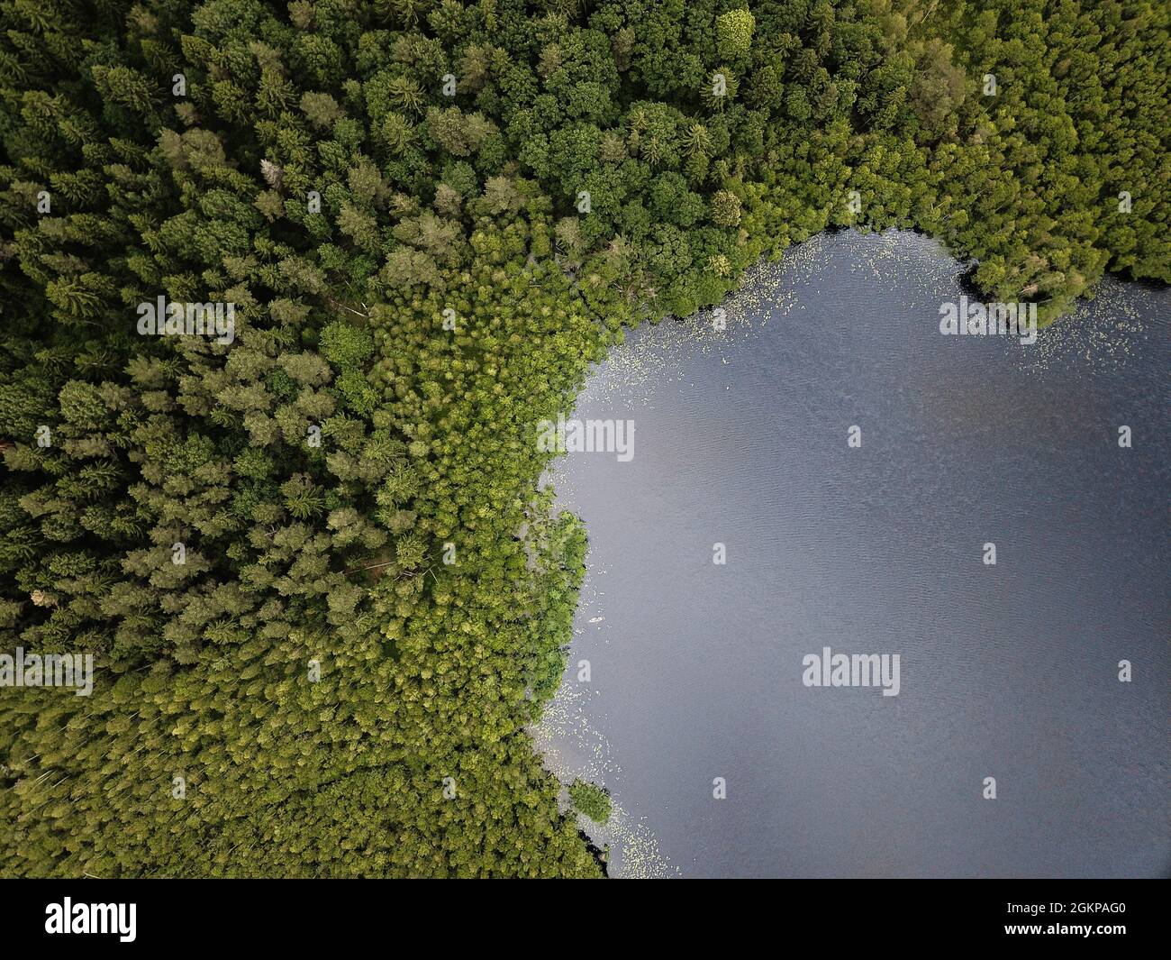 Drone photography. Aerial view of lake and forest Stock Photo - Alamy