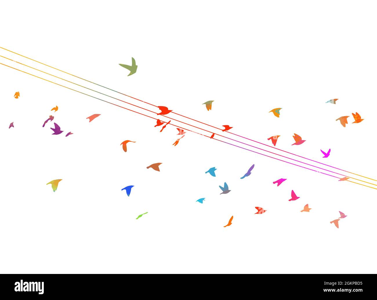 Multicolored Birds on wires. Vector illustration Stock Vector Image ...