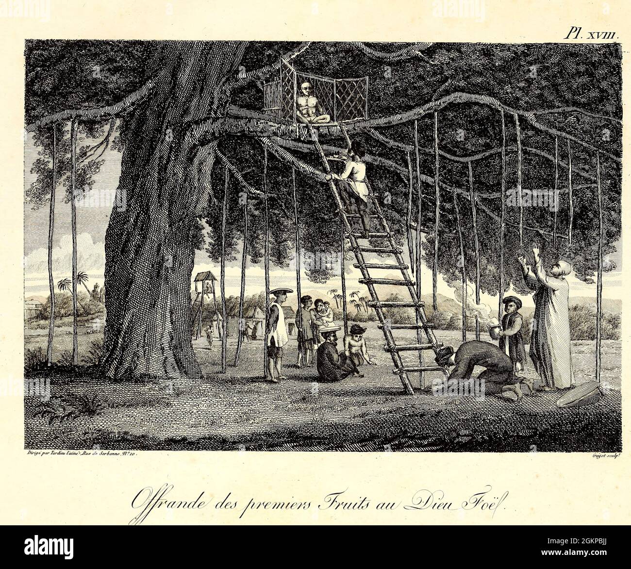 Offering to Fo in the Banyan Tree from the book Voyage à la Cochinchine par les iles de Madère ...