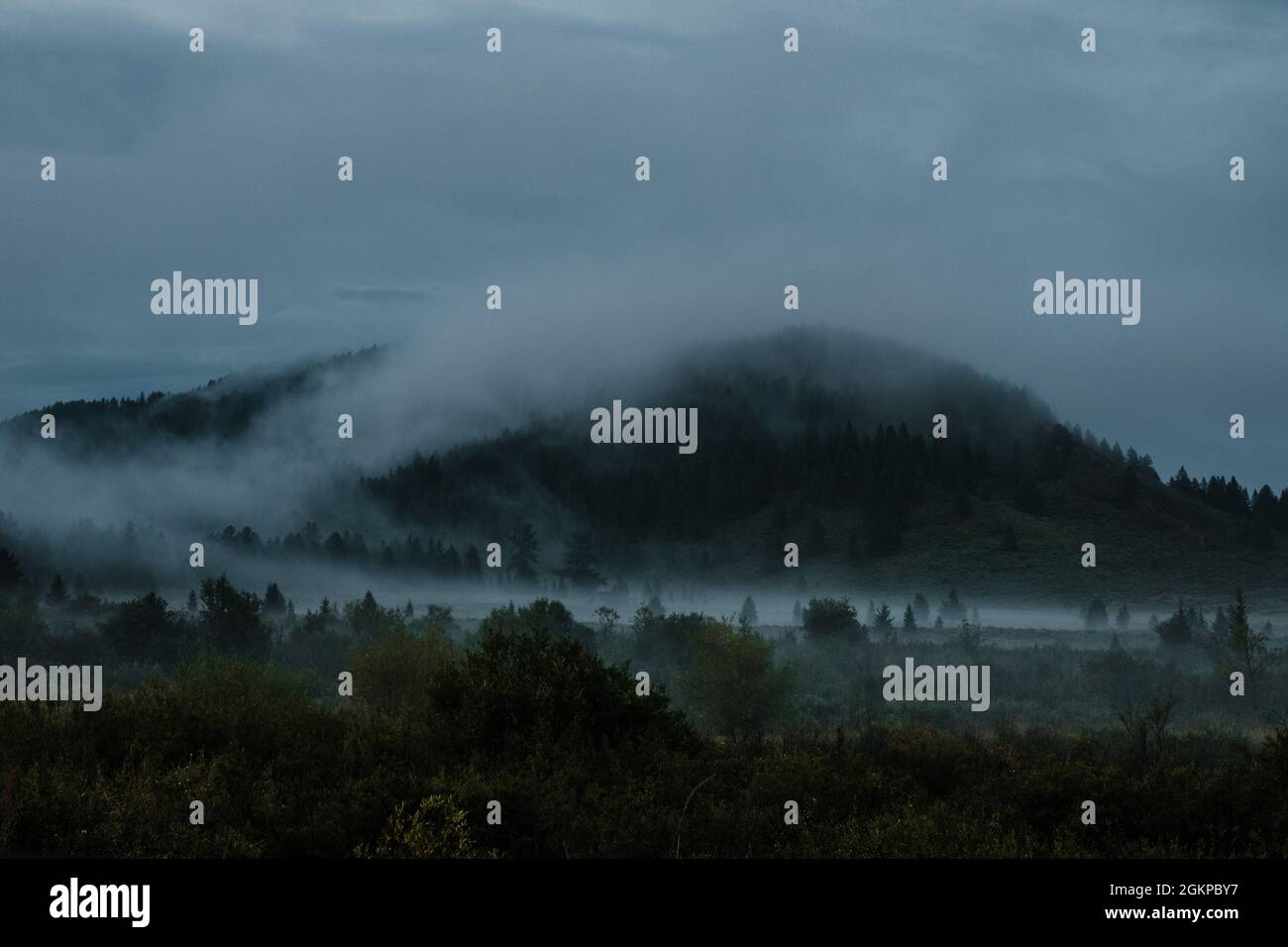Evening landscape with fog, mountains and conifers Stock Photo - Alamy