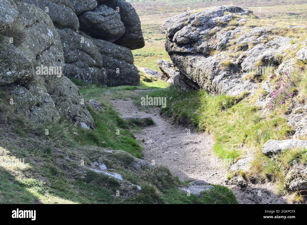 Haytor Rocks, Haytor 070921 Stock Photo - Alamy