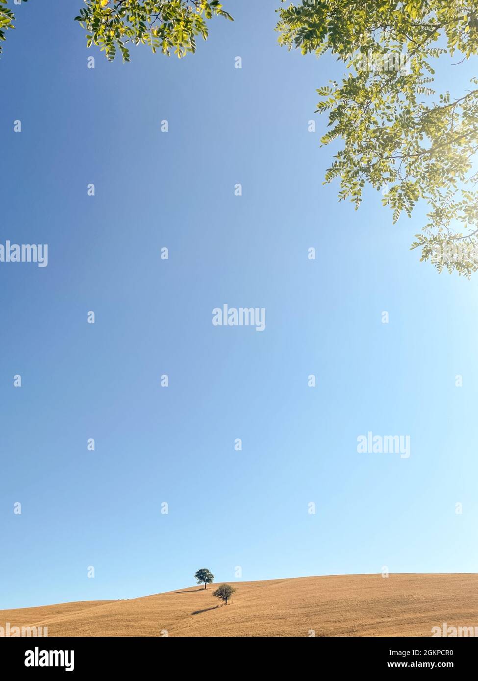 Blue sky hill trees hi-res stock photography and images - Alamy